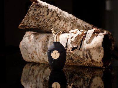 Cedar - Scents Of Wood